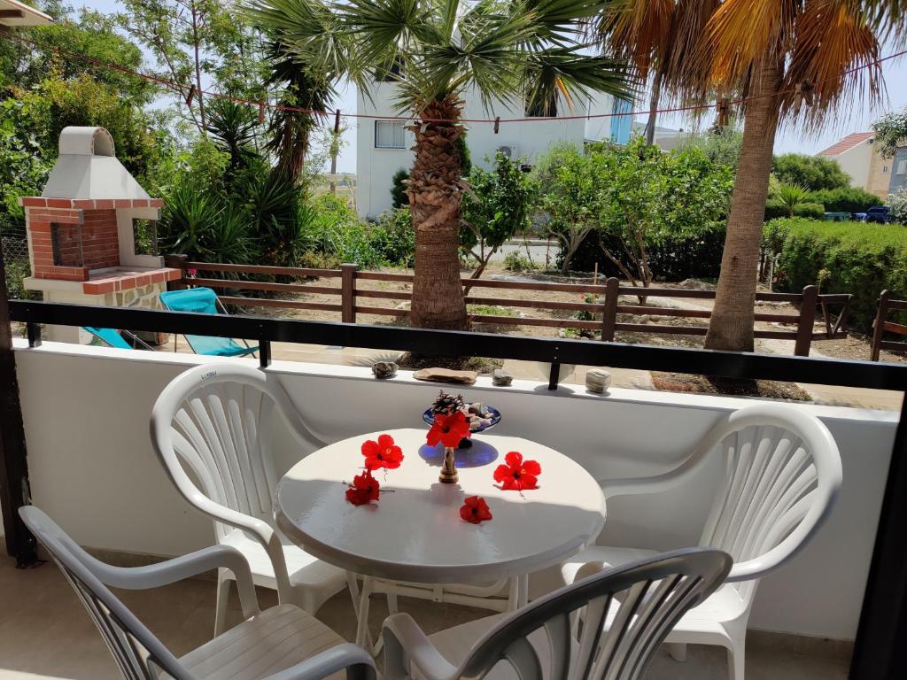 Palm garden paradise, Pervolia (updated prices 2025)