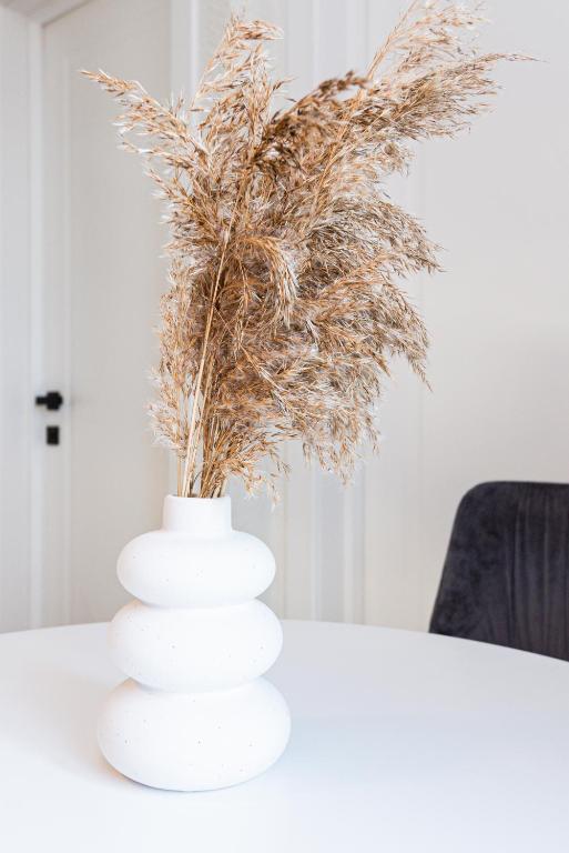 Čiki Puki Laivas, Palanga (updated prices 2025)