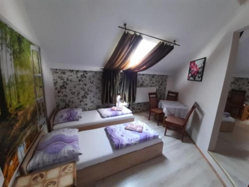 Green Hostel, Krakow (updated prices 2025)