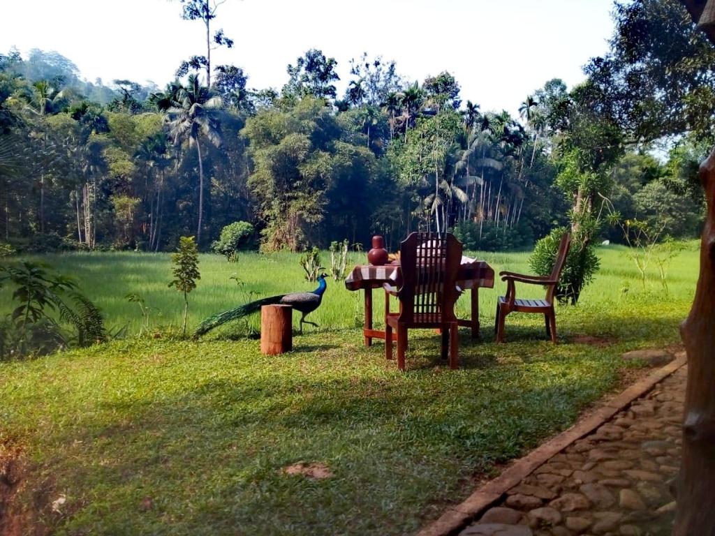 Villa Springwater Dellawa, Ihalapanangala (updated prices 2024)