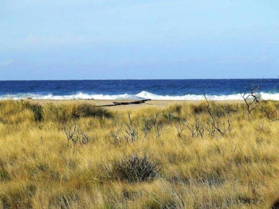 The Dunes - King Studio - 50m from Scamander Beach, Scamander (updated ...