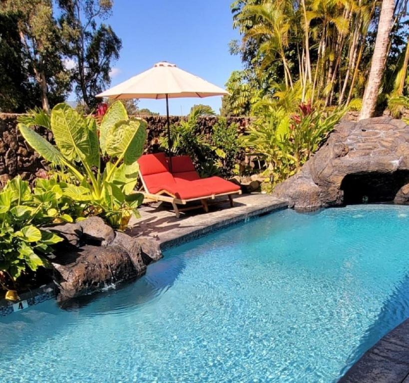 Paradise Awaits Private resort style salt water pool w/waterfall ...