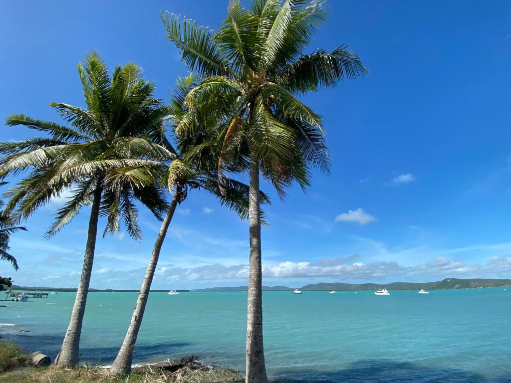 Wongai Beach Hotel, Horn (updated prices 2025)