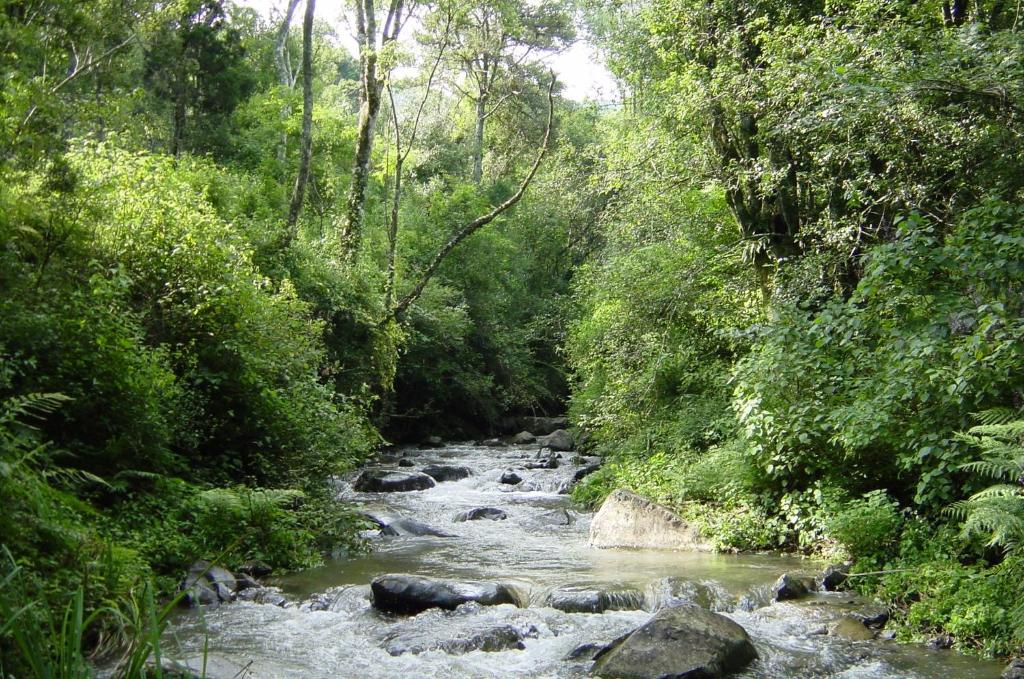 Rockwood Karkloof Farm House and Farm Cottage, Howick (updated prices 2025)
