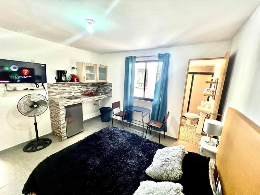 Apartamento Citla-6 hermoso e iluminado estudio (México Ciudad de ...