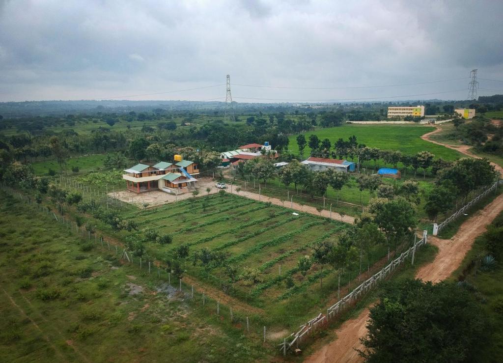 Rathnamala estate, Talai (updated prices 2025)