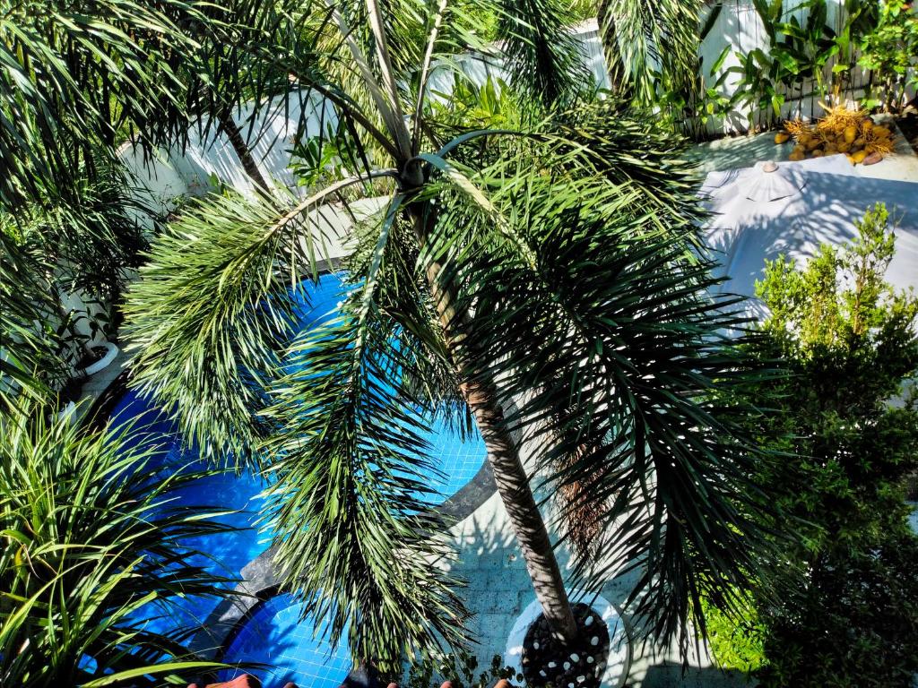 Gili Moonlight Retreat, Gili Islands – Updated 2023 Prices