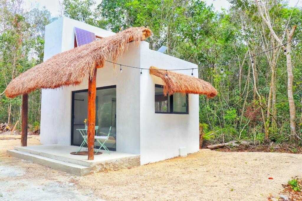 Selva de Luz Jungle Cottage, Tulum (precios actualizados 2025)