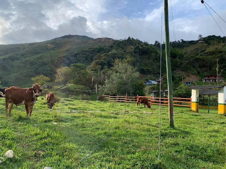 Granja acogedora para disfrutar en familia, Concepción (updated prices ...