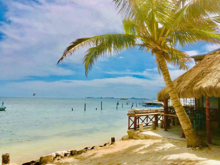 Shark suite, 5 min walking to the beach -Shark-, Cancún (updated prices ...