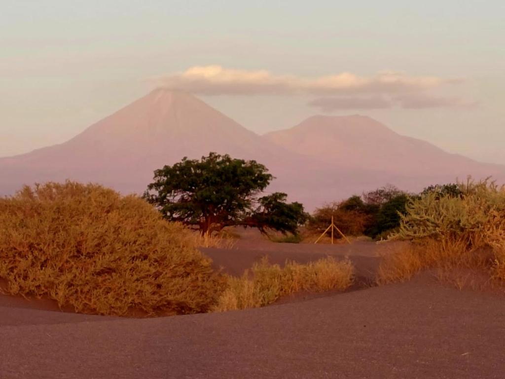 Dunas de tulor, San Pedro de Atacama – Aktualisierte Preise für 2023