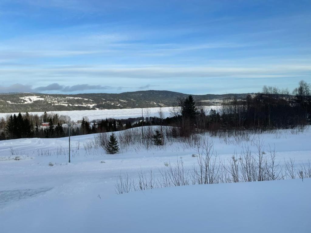 Nybyggt fjällboende längs Åreskutans Norra sluttning, Huså – Updated ...