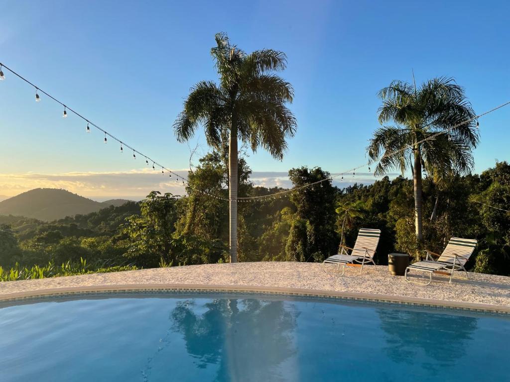 WALD HAUS by DW, Naguabo – Updated 2024 Prices