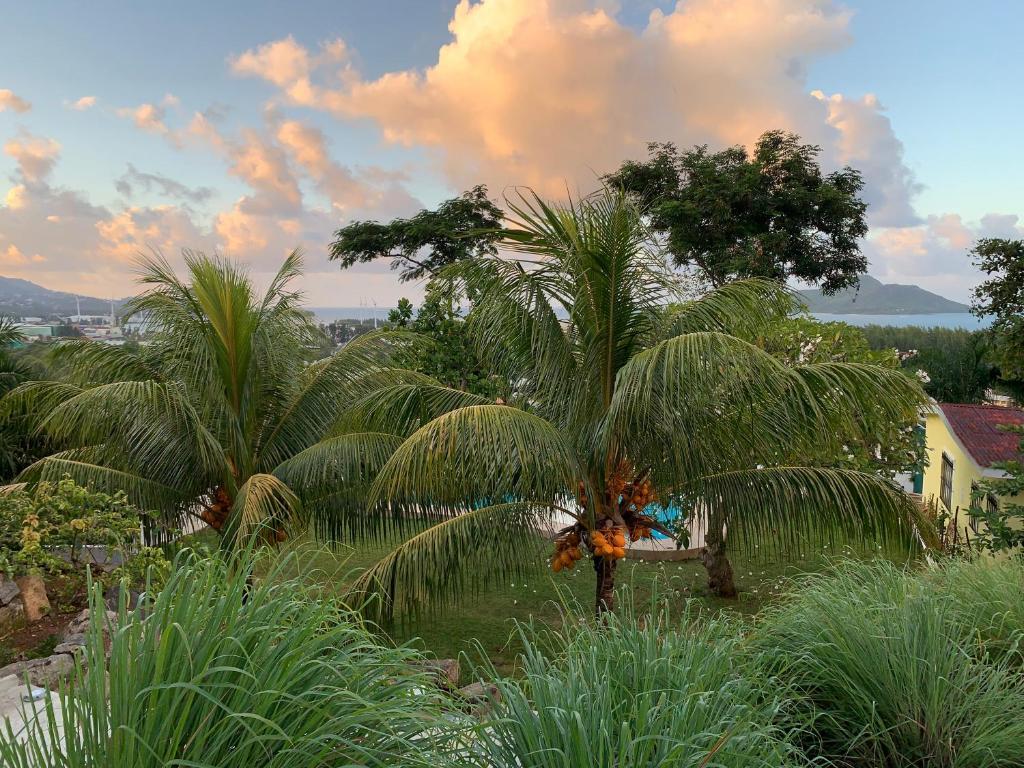 Naturalis - Oceanview Residences, Eden Island – Aktualisierte Preise ...