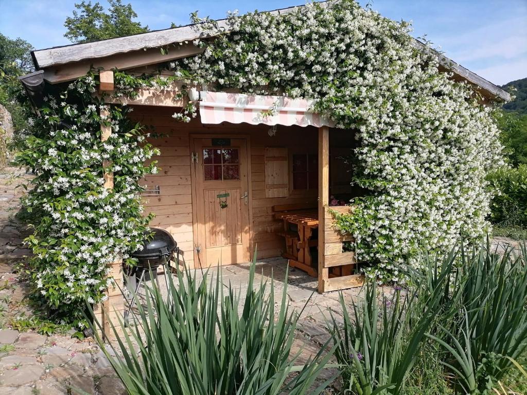 Apartma Suzy, Pobegi (updated prices 2026)