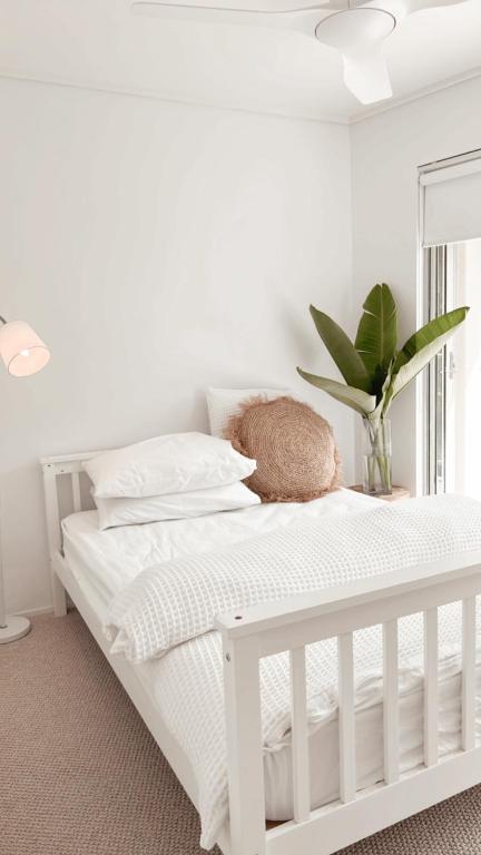 Searene on Seaview in Airlie Beach - Traveleto