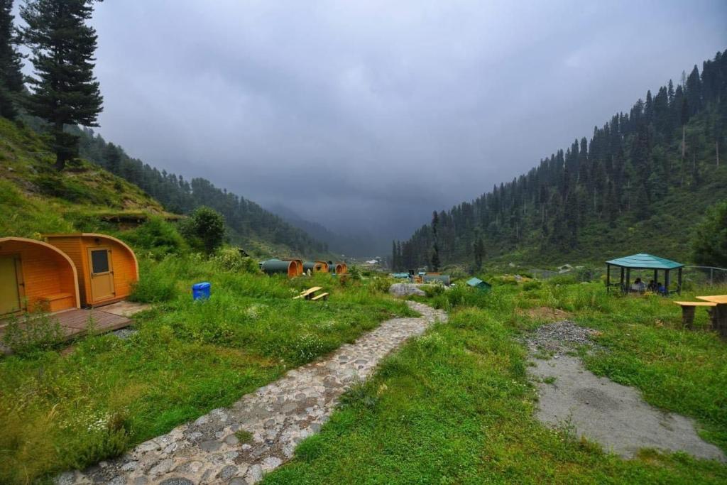 Gabbin Jabba, Matta (updated prices 2024)