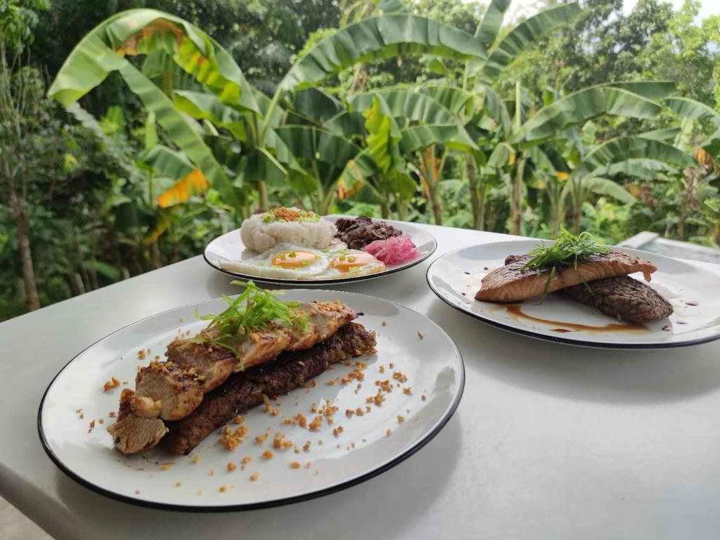 High-end Glamping with infinity pool and Starlink internet, Calauan ...