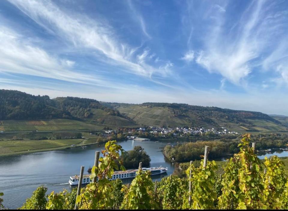 Weingut und Gästezimmer Jörg Thul, Detzem (updated prices 2025)