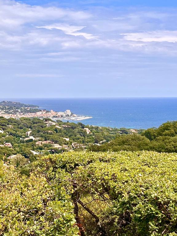 Les Collines, Sainte-Maxime (aktualisierte Preise für 2025)