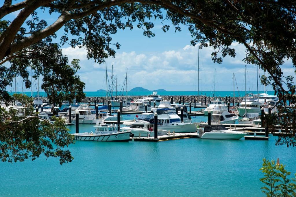 Shingley Beach Resort - Whitsundays, Airlie Beach (updated prices 2025)