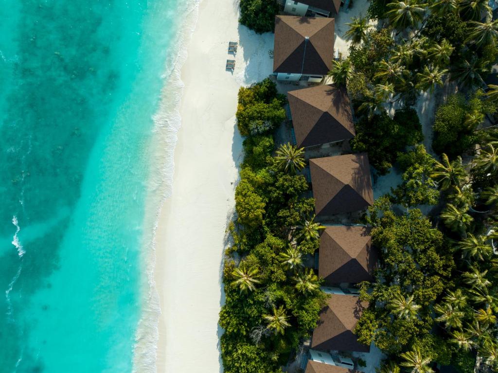 Avani Plus Fares Maldives Resort - 50 percent off on Seaplane transfer ...