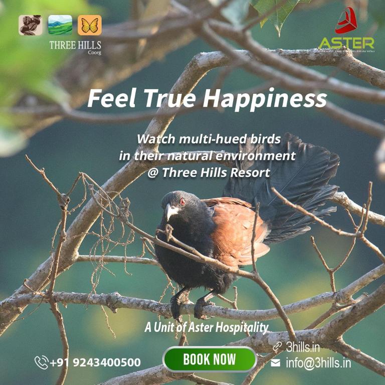 Three Hills Coorg, Madikeri – Updated 2023 Prices
