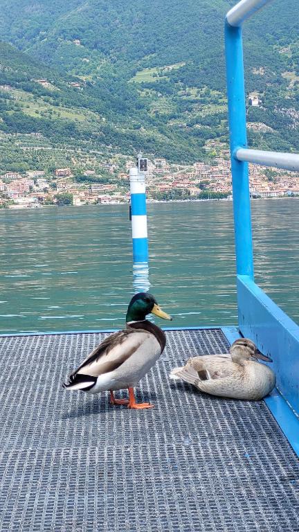 Light on Lake Iseo, Clusane sul Lago – Aktualisierte Preise für 2023