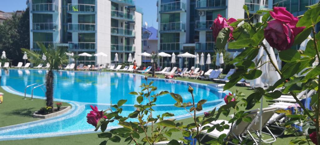 F 207 Primorsko del Sol-Spacious Luxury studio with kitchen просторно ...
