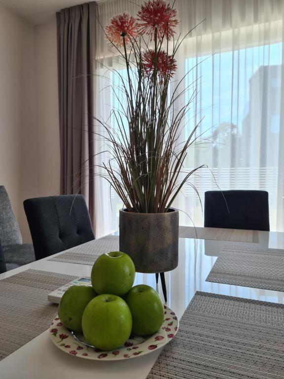 SAKALO GUBOJA, Palanga – Updated 2023 Prices