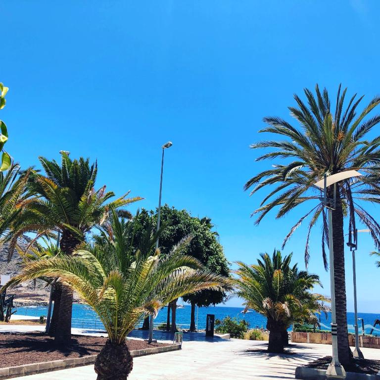 VERY NICE DUPLEX 50 MERETS FROM THE BEACH., Playa del Cura – Updated ...