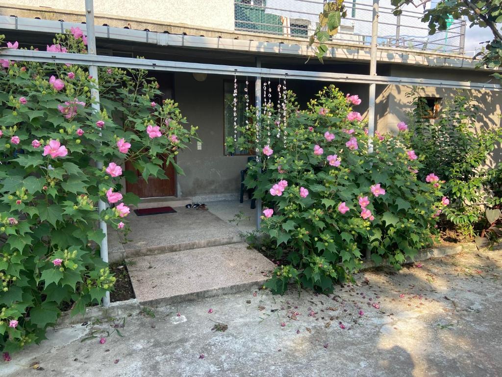 Very Comfortable Apartment With The Garden - Batumi