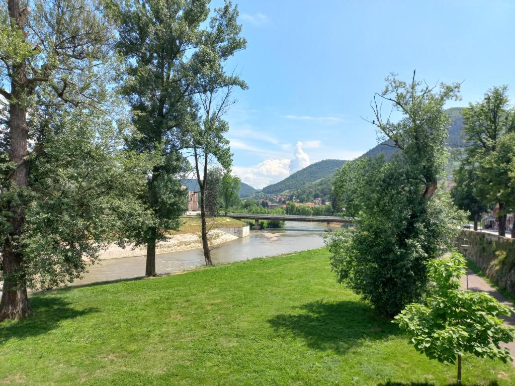 Accordeon, Visoko (updated prices 2025)