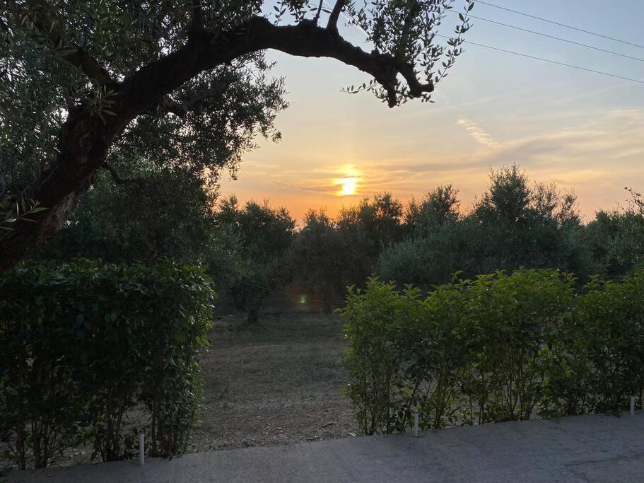 Rustic- Chic Villa in a Private Olive Grove - Filiatra, Filiatra ...