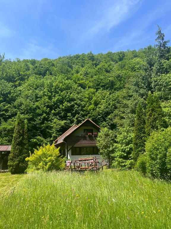 Cottage by the river Valea Draganului, Poeni (updated prices 2025)