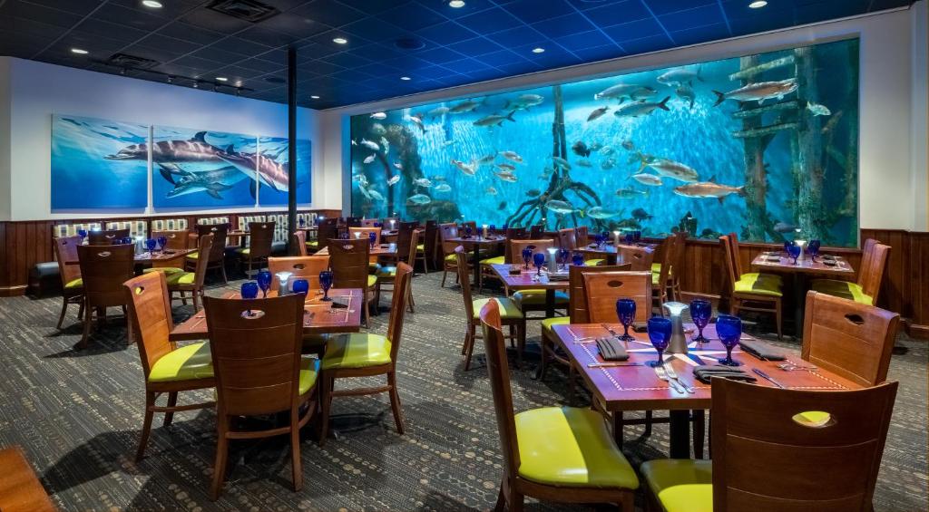 RumFish Beach at TradeWinds, St. Pete Beach (updated prices 2025)
