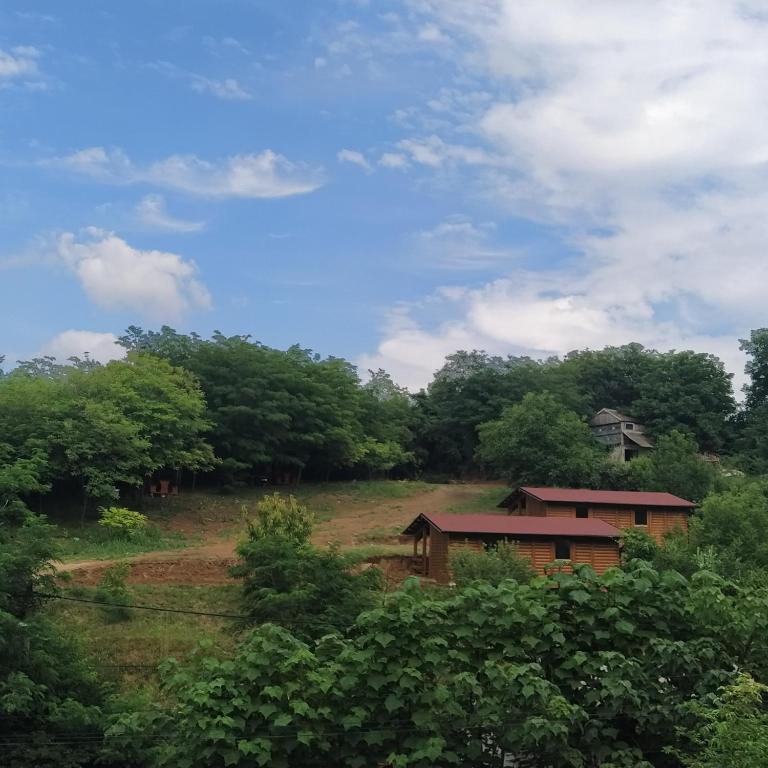 Brvnara, Fruška Gora, Bukovac – Aktualisierte Preise für 2023