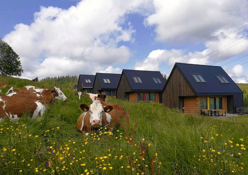 Bystre DOMKI 2, Nowe Bystre (updated prices 2025)