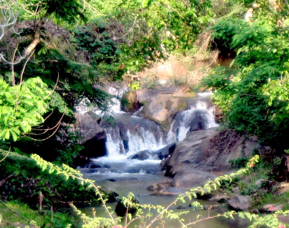 Mae Sa Valley Garden Resort, Ban Mae Mae (updated prices 2025)