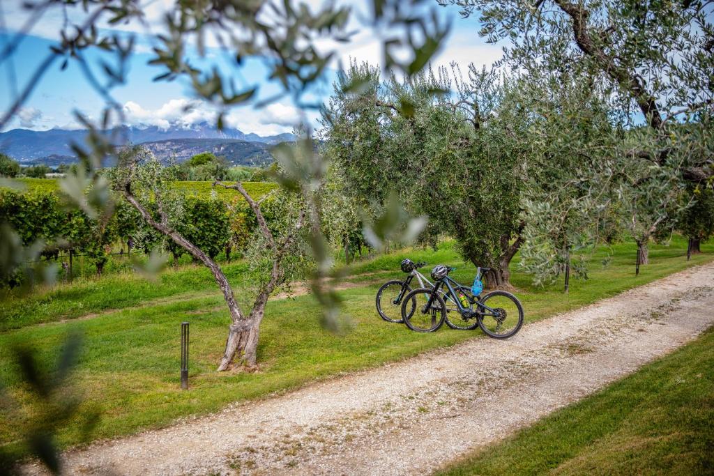 Agriturismo Borgata Levita, Bardolino (updated prices 2025)