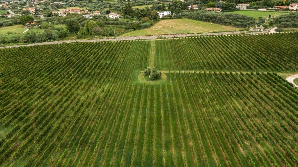 Agriturismo Borgata Levita, Bardolino (updated prices 2025)