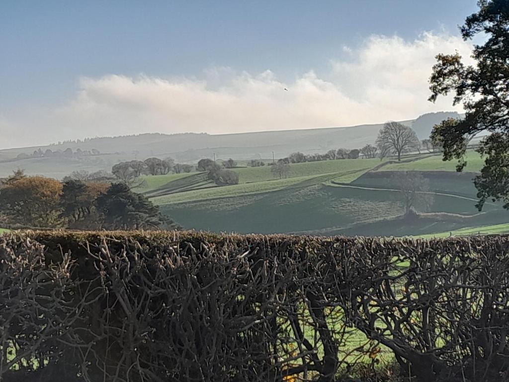 The Dolfor Inn, Newtown (updated prices 2026)