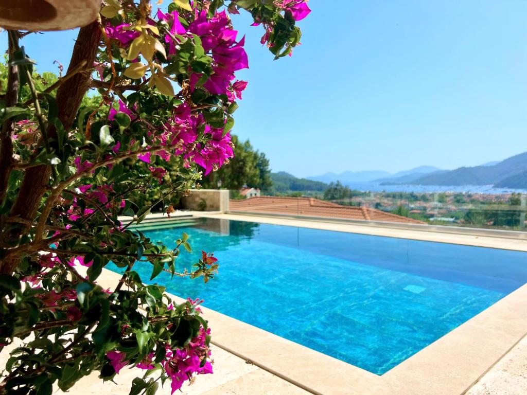 Villa Paradaise is Magnificent Villa with Sea view and infinity Pool ...