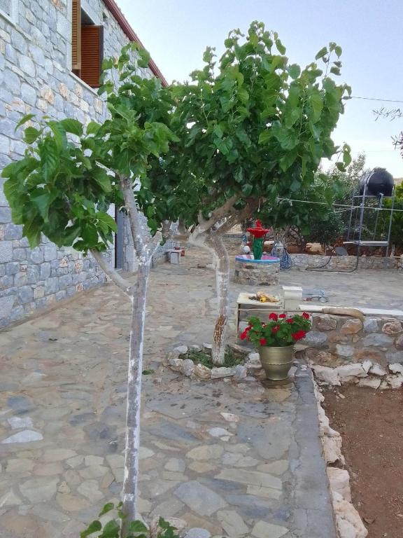 Akrotirio Tainaro House, Kokkinoyió – Aktualisierte Preise für 2023