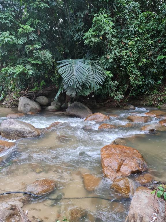 D'Impiana Riverview Chalet # Lenggong, Kampong Ulu Jepai (updated ...