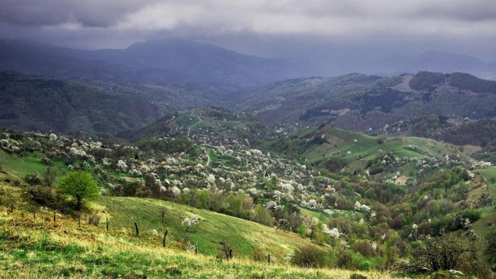 Almost Heaven - cabană cu vedere în Apuseni, Cîmpeni – Updated 2023 Prices