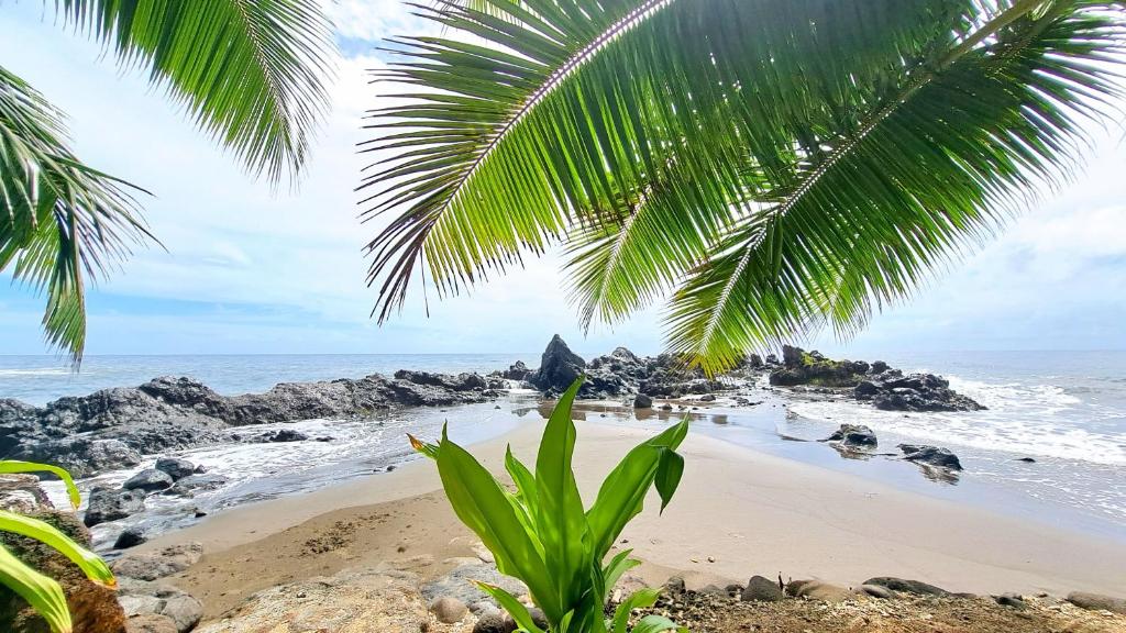 TAHITI - Fare Te Pari, Mariuti (precios actualizados 2024)