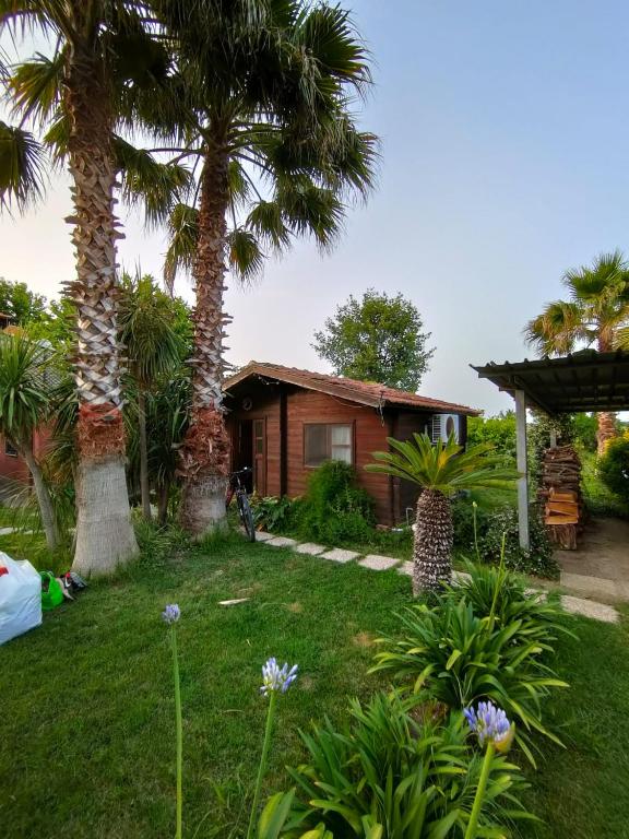 La Flora Cottage Fregene, Fiumicino (bijgewerkte prijzen 2024)