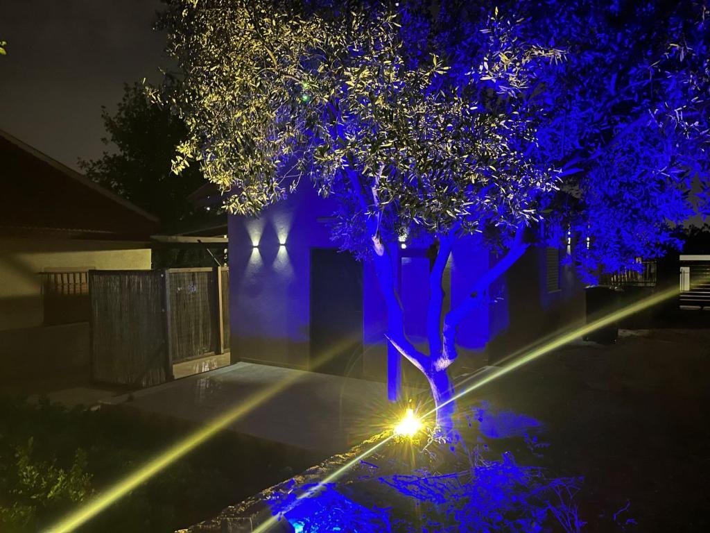 צימרים בצפון-Amores, Shezor (updated prices 2025)