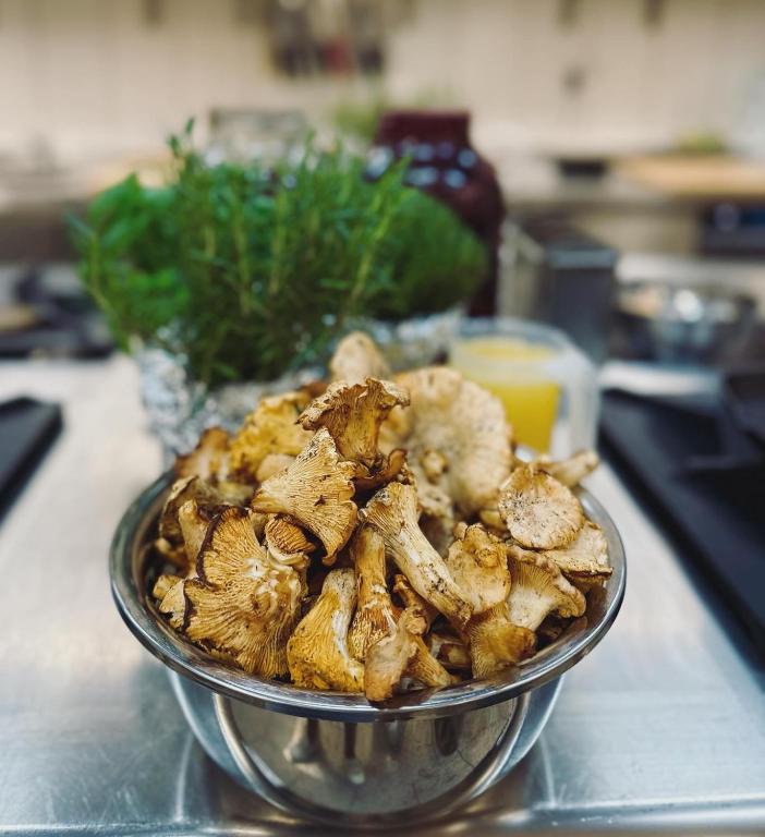 Karma House Gościeńczyce, Grójec (aktualne ceny na rok 2025)